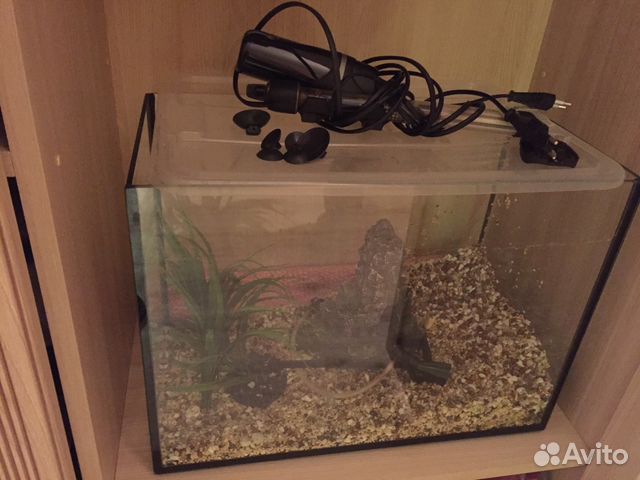 Аквариум
