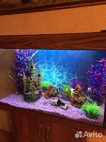 Аквариум
