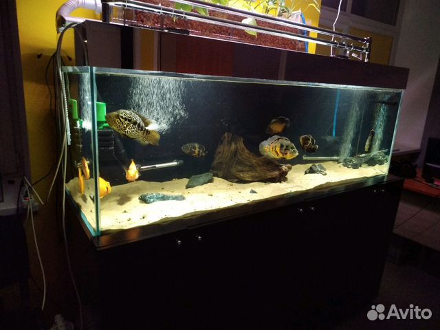 Аквариум 600 литров с тумбой, фф и оборудованием
