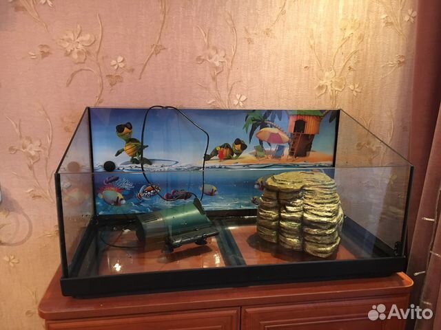 Акватеррариум Tetra