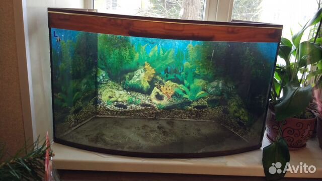 Аквариум 150л