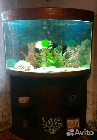 Аквариум