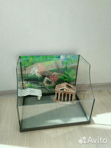 Аквариум террариум с оборудованием