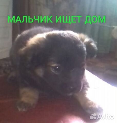 Кисловодск