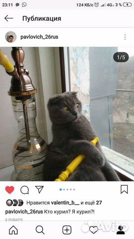 В хорошие руки