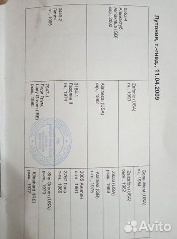 Продам кобылу с лошонком