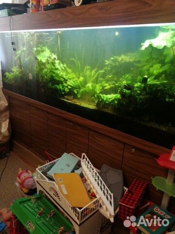 Аквариум, тонник