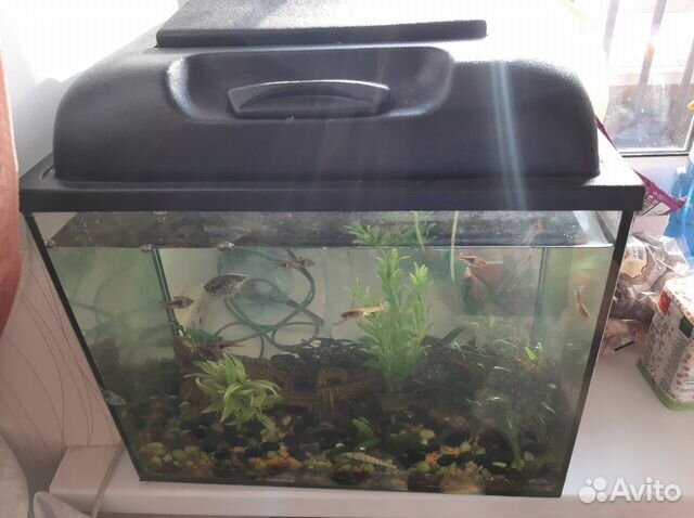 Аквариум