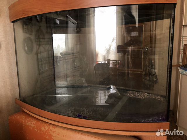 Аквариум/террариум