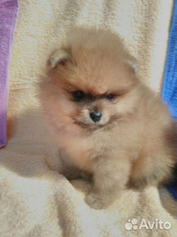 Супер мальчик