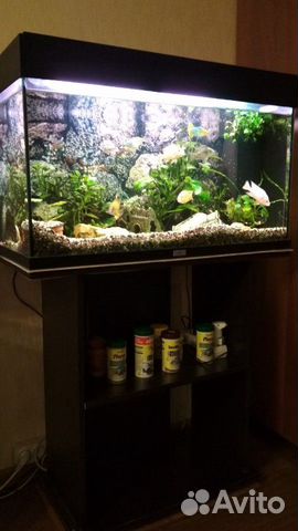 Аквариум немецкий, фирмы Джувель