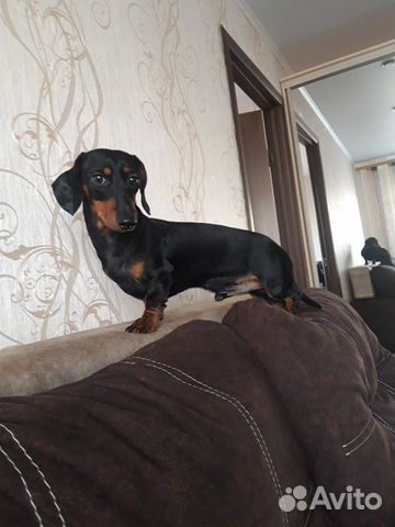 Мальчик приглашает девочку на свидание