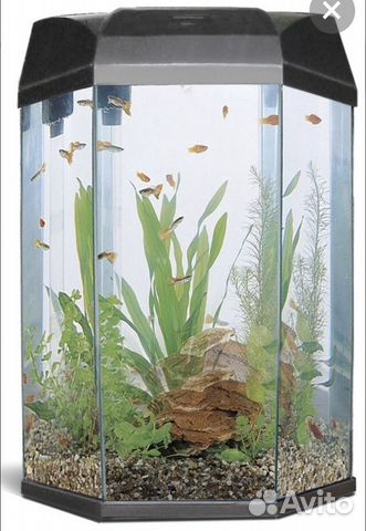 Аквариум