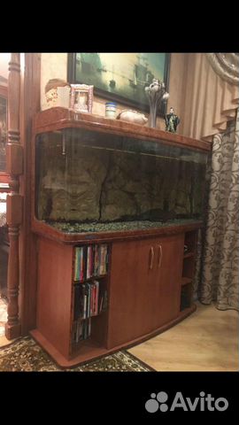 Аквариум 340л на тумбе (с сомом)