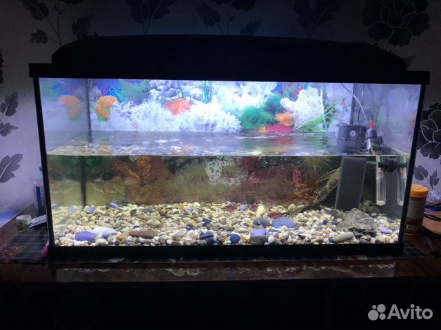 Аквариум для рыб