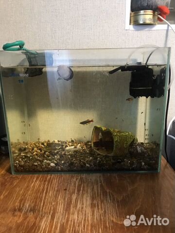 Аквариум
