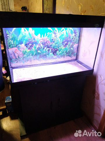 Аквариум