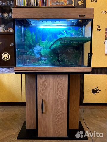 Аквариум 100 литров с тумбой и оборудованием