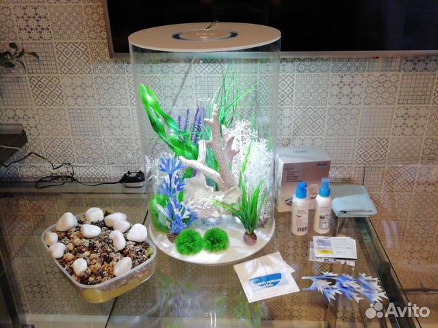 Дизайнерский аквариум Biorb tube 30 л под ключ