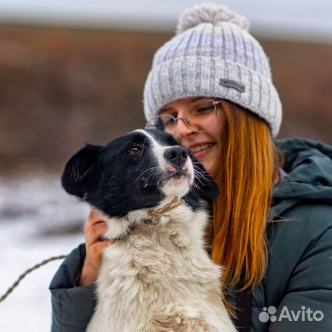 Спасеныш из отлова Клепа