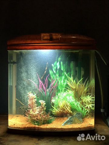 Аквариум