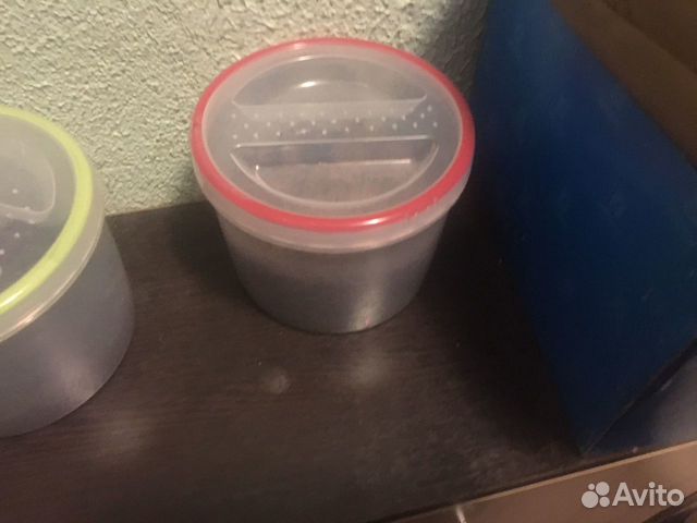 Тараканы суринамские