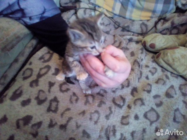 Осталась последняя девочка,родилась 6 апреля, акти