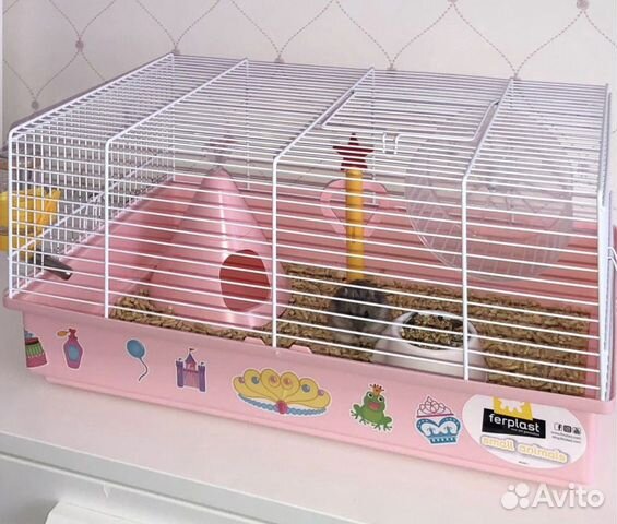 Продаётся джунгарский хомяк с клеткой и всем необх