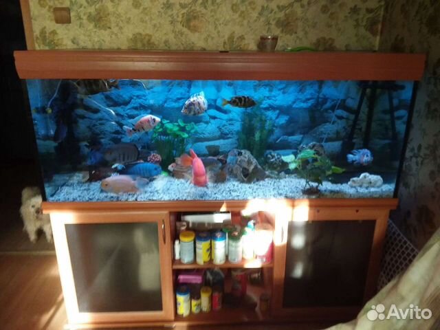 Аквариум 500литров