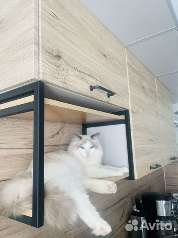 Рэгдолл вязка