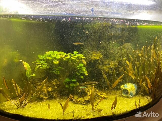 Аквариум для рыб с тумбой и инвентарём