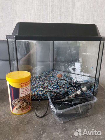 Красноухая черепаха с аквариумом