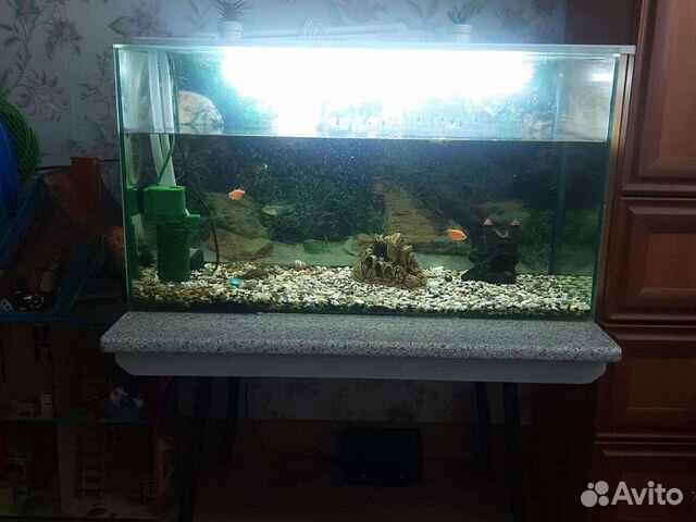 Аквариум со столом
