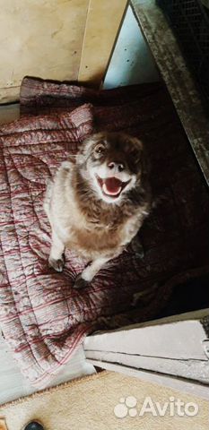 Рыженькая девочка