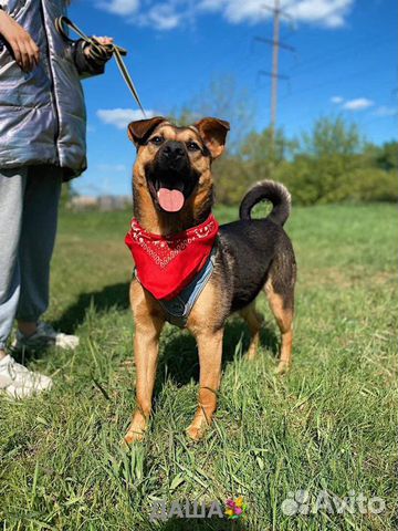 Лапочка малышка Джина