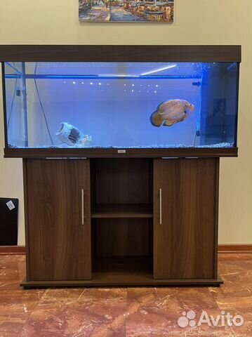 Аквариум juwel rio 240