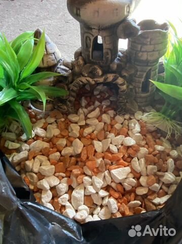 Грунт и замок для аквариума