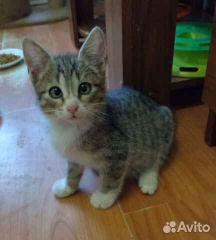 Малыш хочет домой