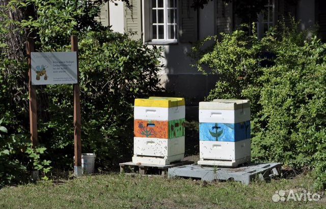 Мини пасека