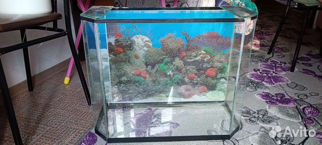 Аквариум