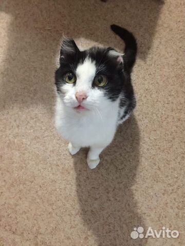 Фрося ищет дом