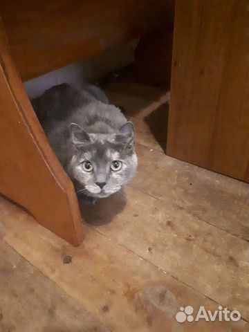 Мраморная красавица