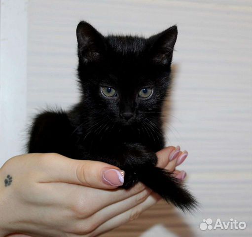 Малышка Кира в добрые руки