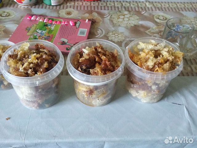 Продам пчелосемьи
