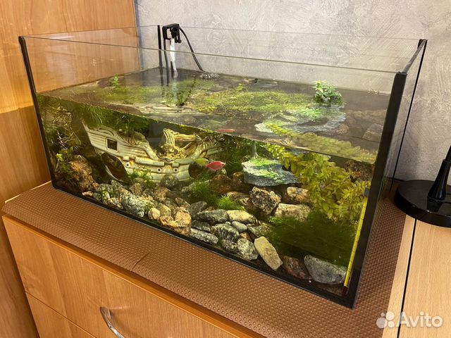 Аквариум террариум