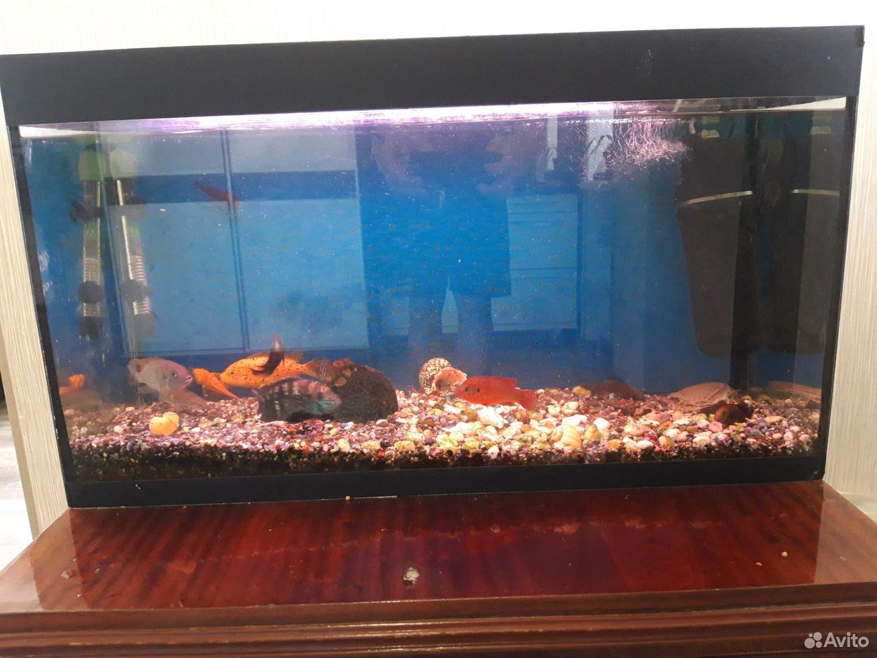 Украшение для аквариума