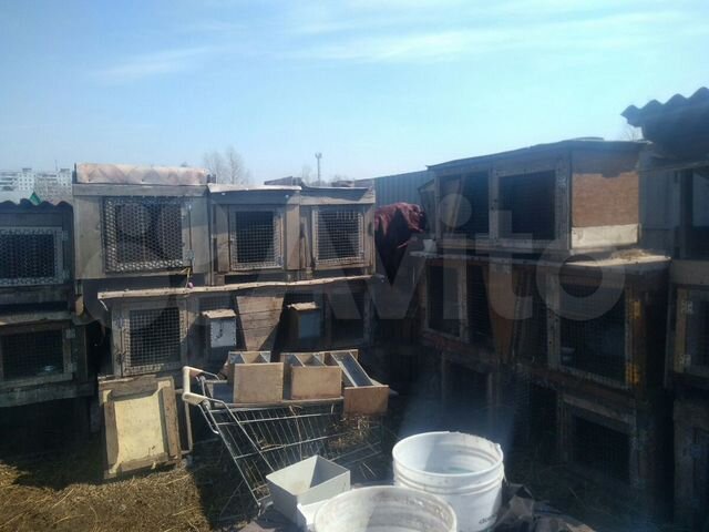 Мини ферма,клетки,кролики