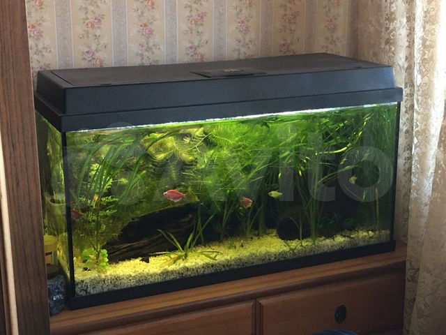 Аквариумный набор 110 л Juwel Primo 110 LED черный