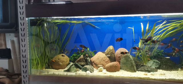 Украшение для аквариума