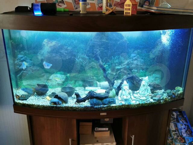 Аквариум juwel 300